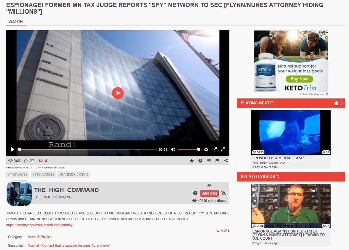 PHONE CALL: LISTEN TO FORMER MN TAX JUDGE RANDI ERICKSON MAKE REPORT TO ...