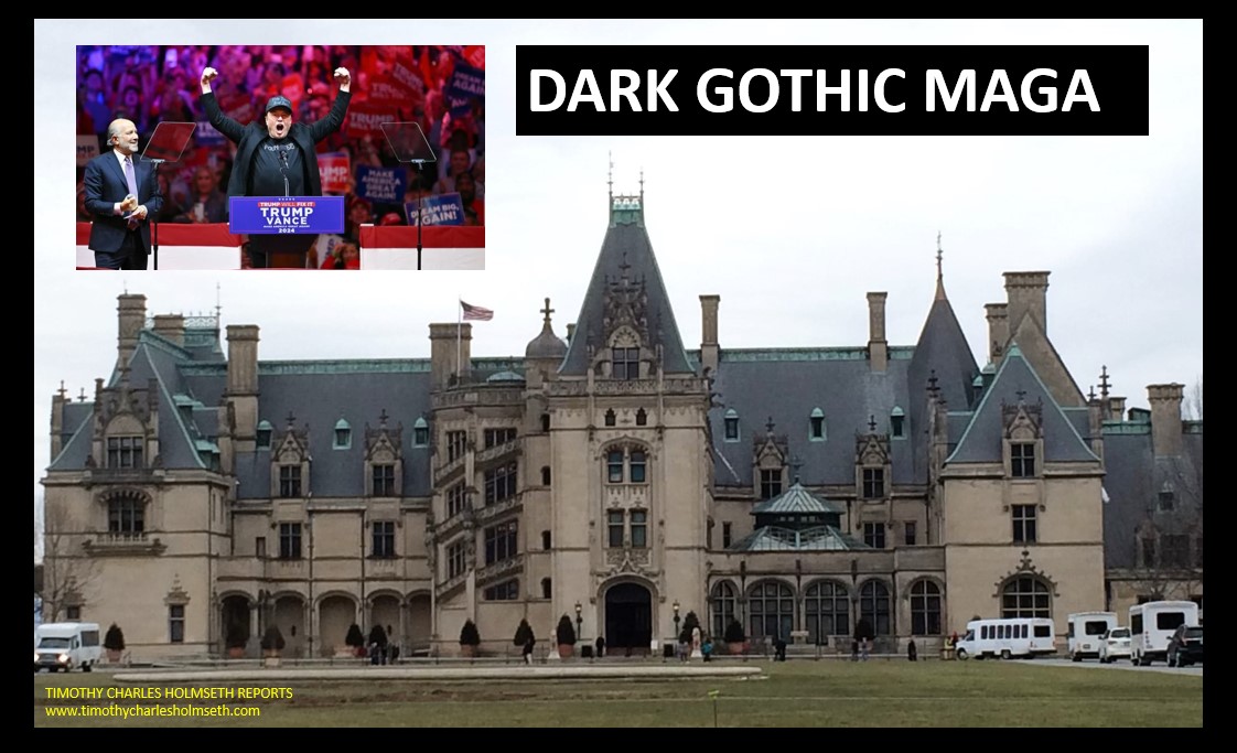 "Dark Gothic MAGA" - HERE'S WHY ELON MUSK ADDED "GOTHIC" to his DARK MAGA MESSAGE [the 325,000 ...