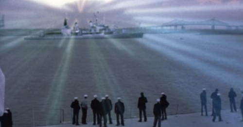 43 MONKEYS that ESCAPED the ALPHA GENESIS BIO RESEARCH LAB in YEMASSEE ...