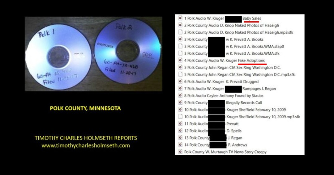 ZELENSKY'S BABY SALES & FAKE ADOPTIONS (COURT EVIDENCE in MINNESOTA ...